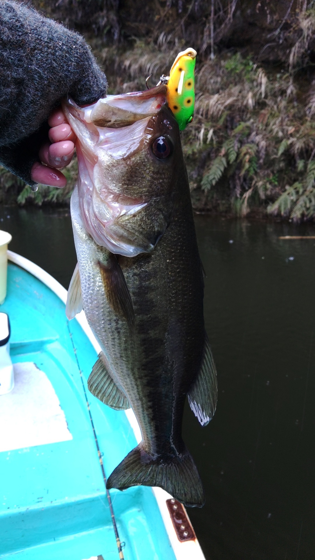 舐めたらアカン: From Sodegaura