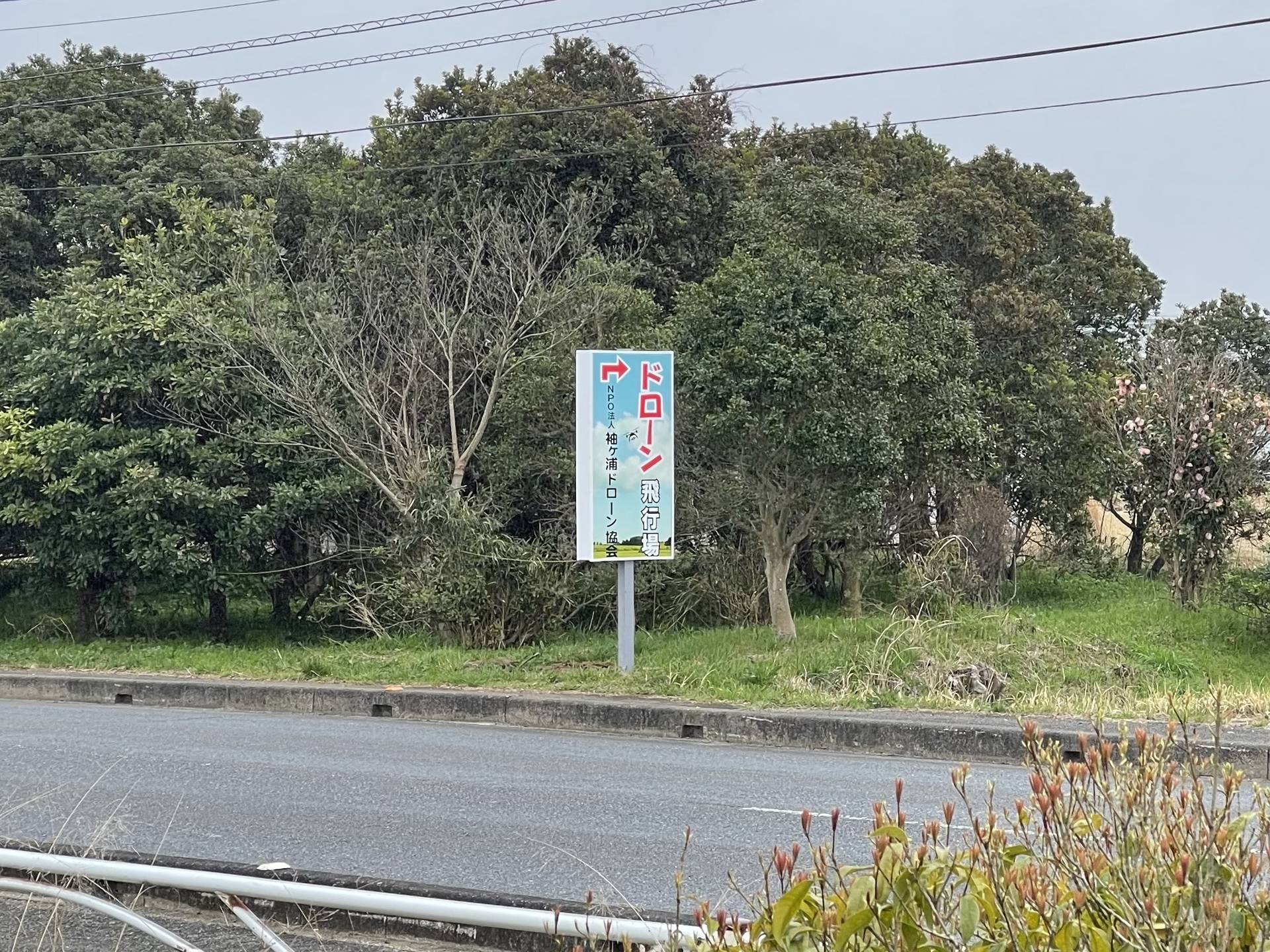 廃線の危機: From Sodegaura