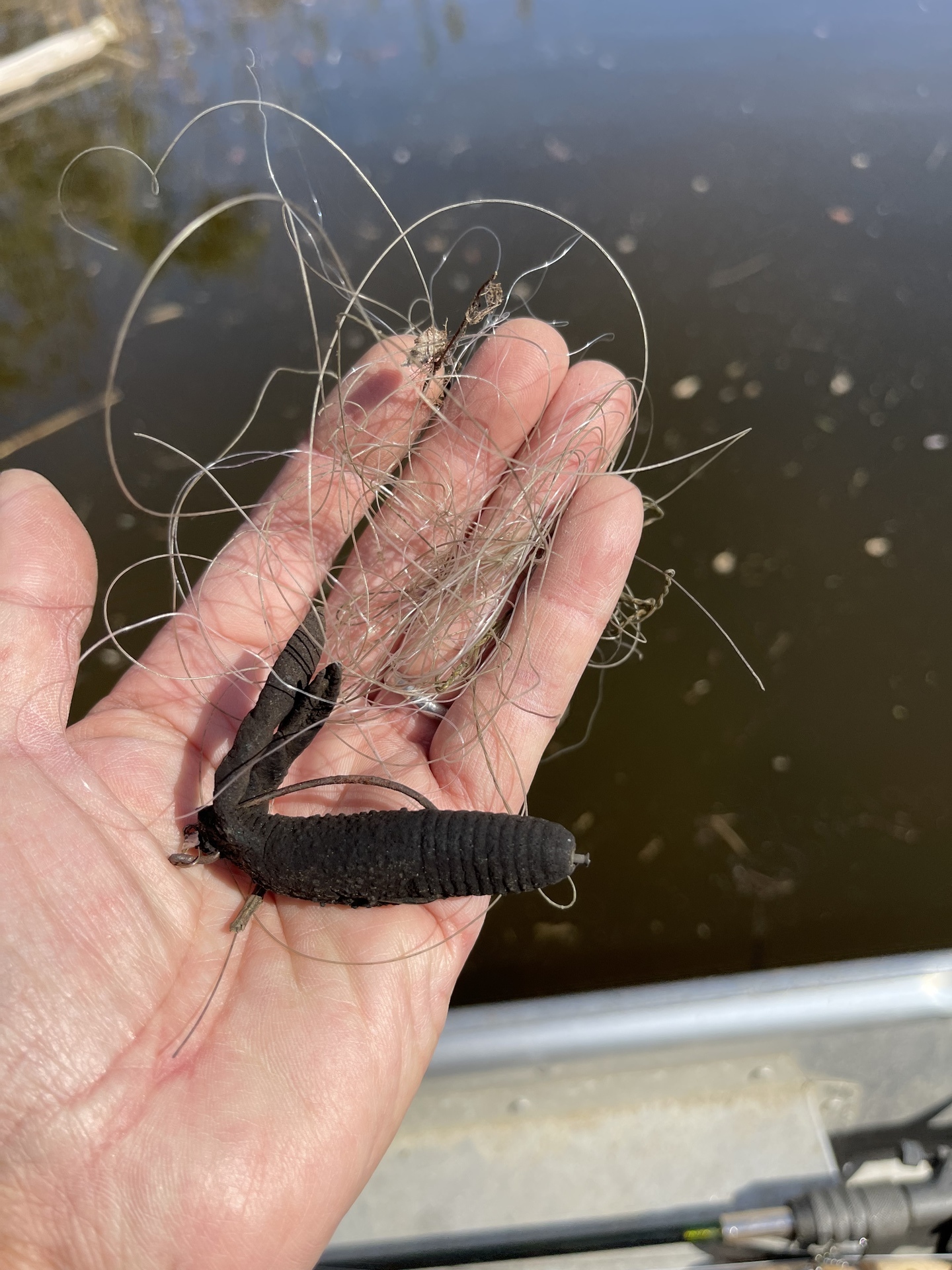 春爛漫: From Sodegaura