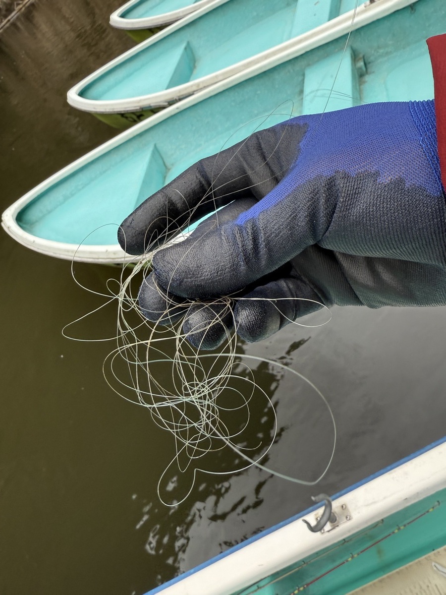 8連敗: From Sodegaura