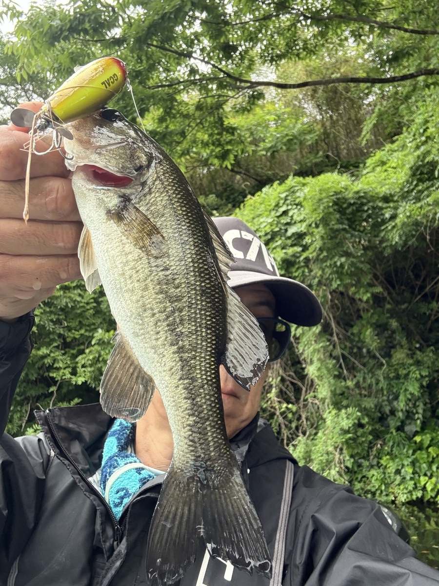 舐めたらアカン: From Sodegaura