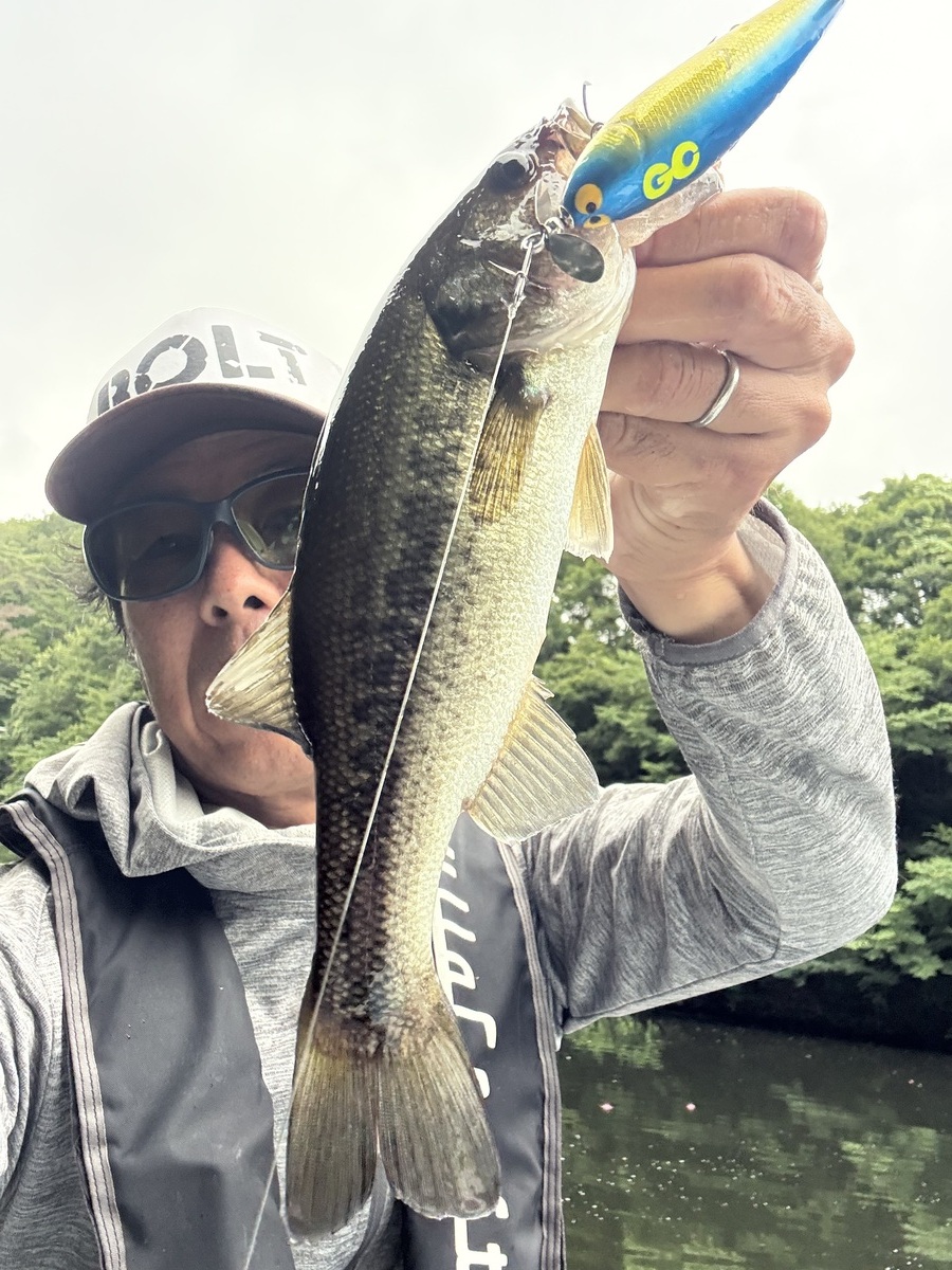 童夢CUP: From Sodegaura