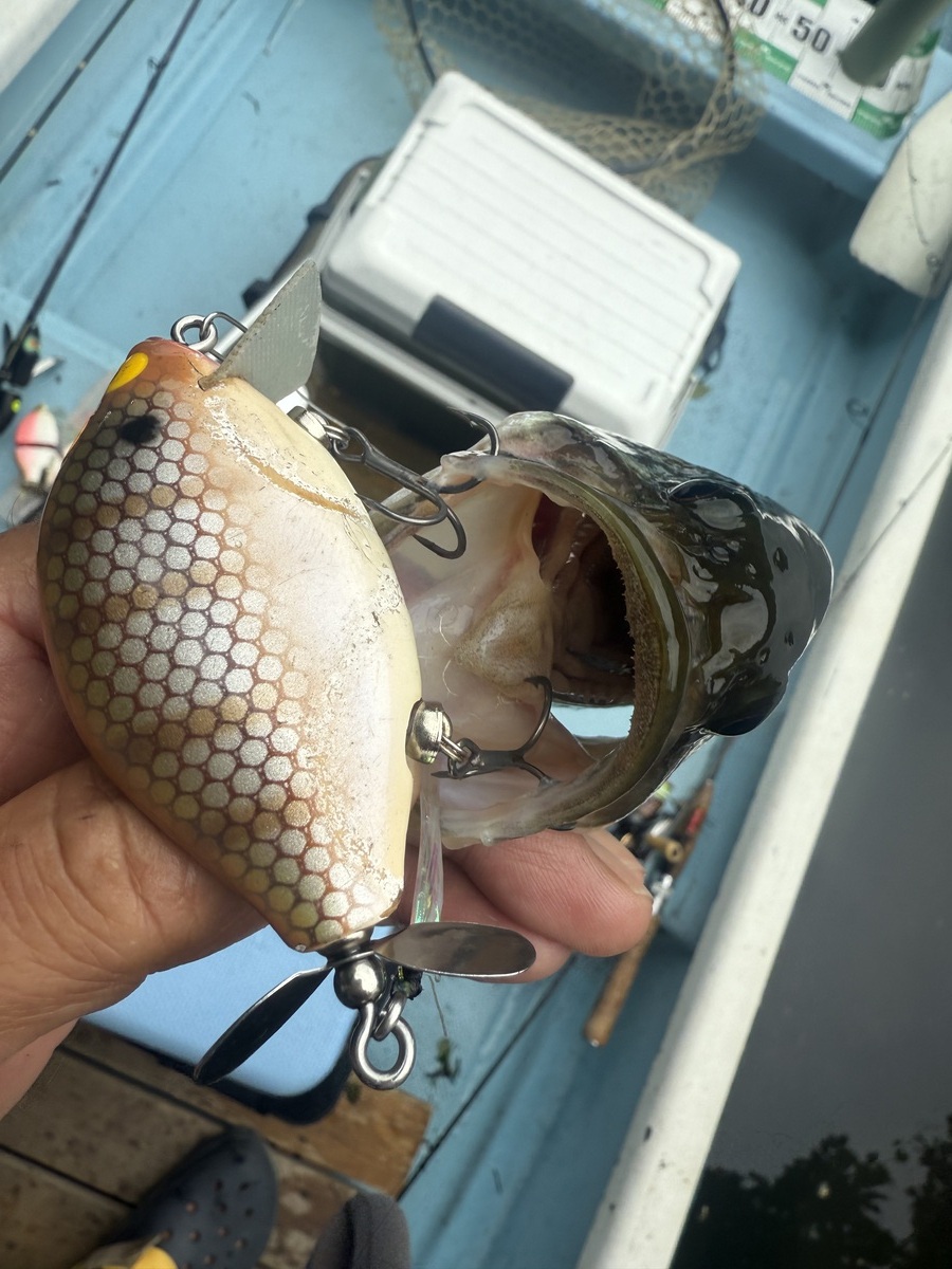 童夢CUP: From Sodegaura