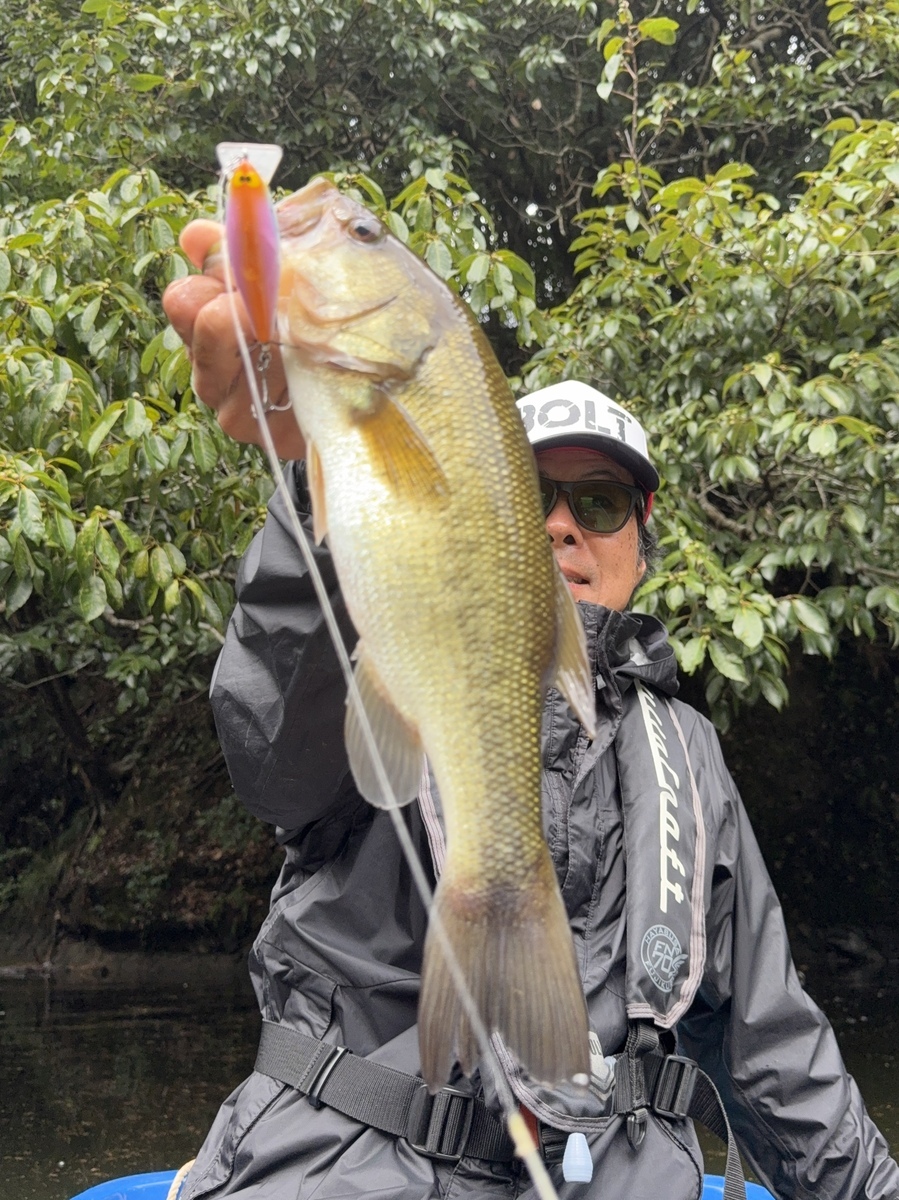 4ヶ月ぶり: From Sodegaura