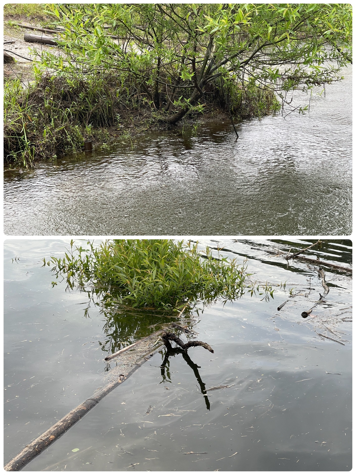 開幕しました: From Sodegaura