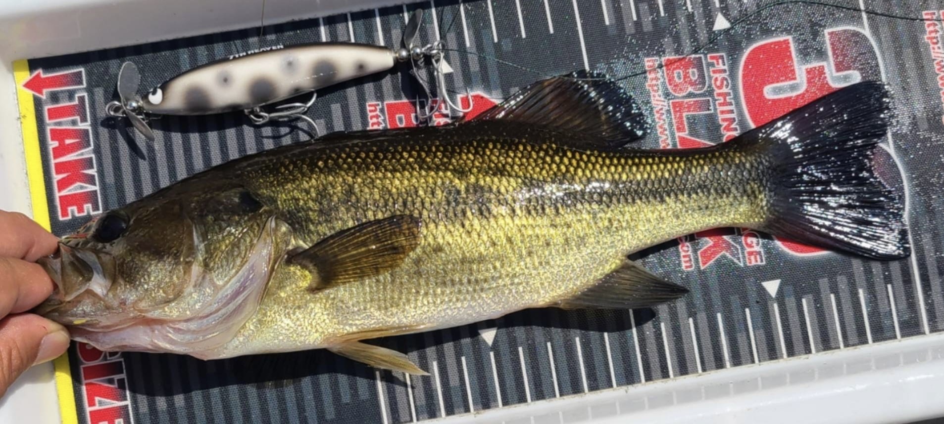 房総クランカーズ7月例会: From Sodegaura