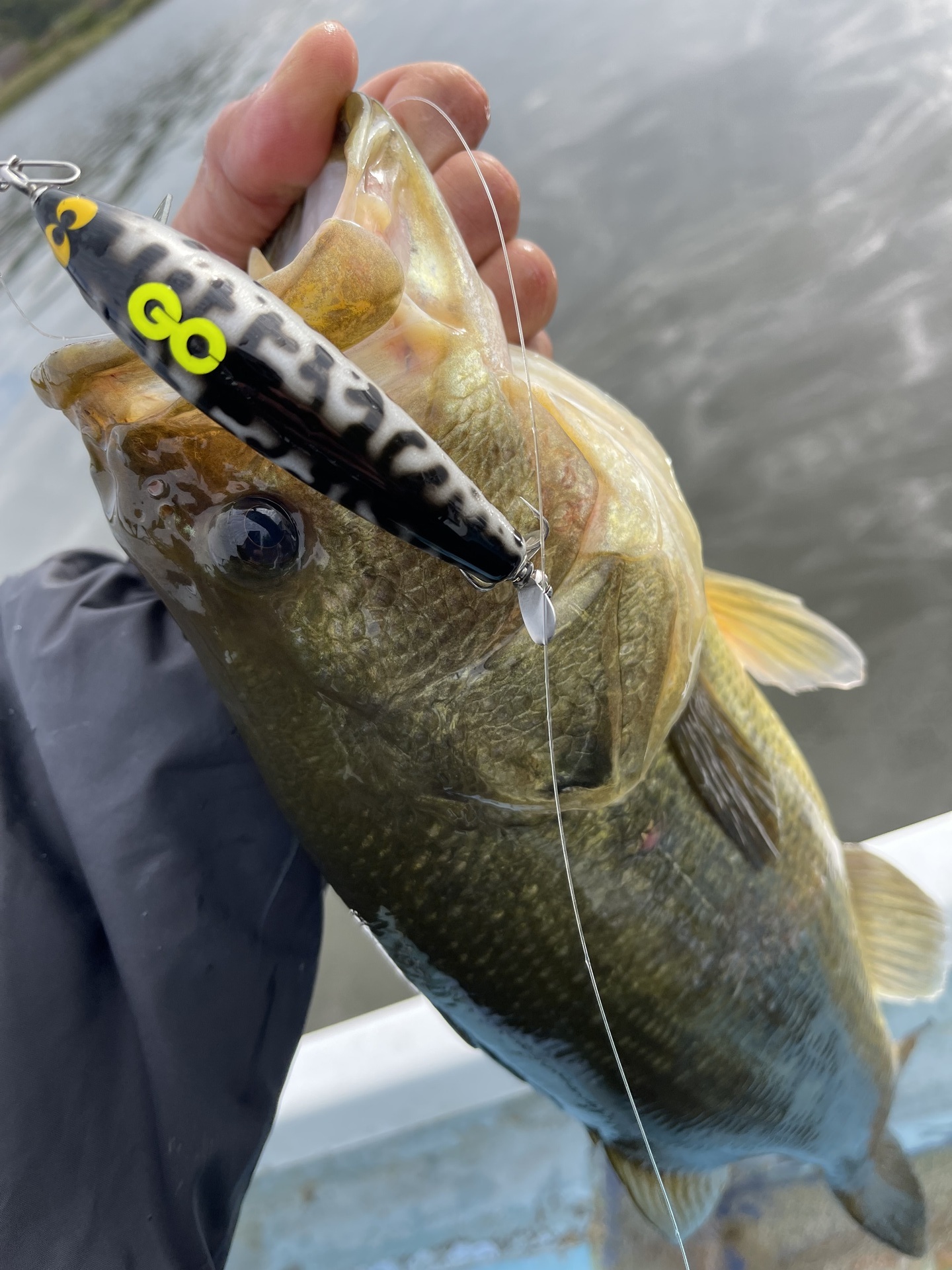 ヘビーカバーズ第6戦: From Sodegaura