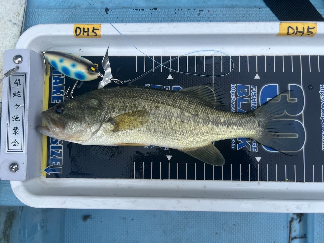 チーム対抗戦: From Sodegaura