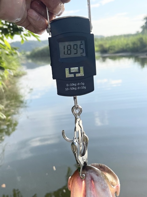 今年最大: From Sodegaura